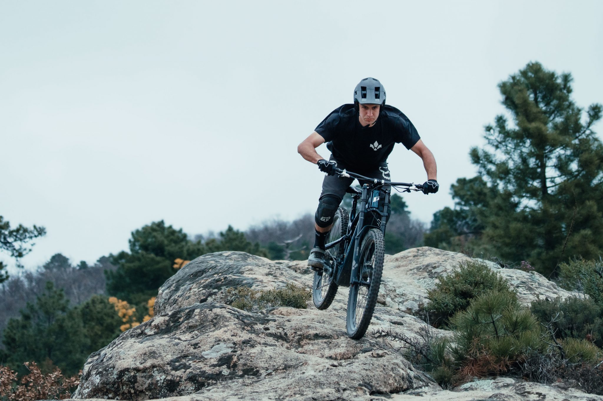 Introducing The Belva – Formula SRL